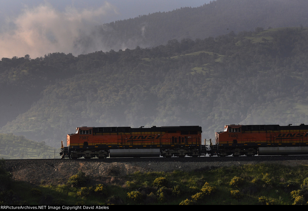 Lifting Fog, Morning Light